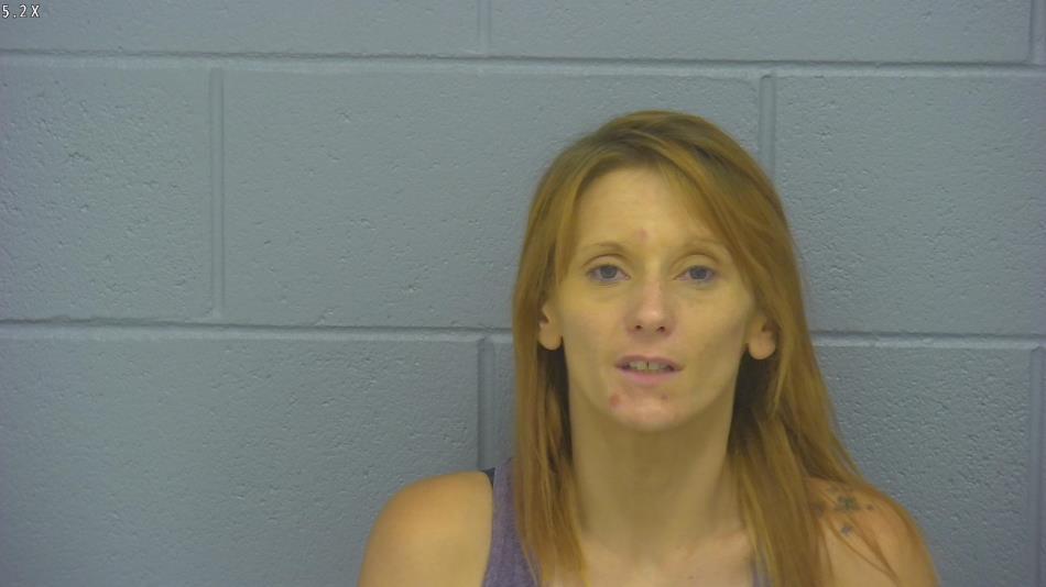 Arrest Photo of BRITTANY PATTERSON in Greene County, MO.